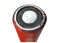 China CTS Al Wire Armoured Electric Cable High Voltage Aluminum Power Cable Single Phase For Underground Use for sale