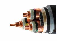 China Three Phase CU / XLPE / STA / PVC Electrical Power Cable Steel Tape Armored High Voltage for sale
