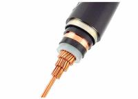 China Cable Elect 300MM2 X 1 Core AWA PVC Armoured Electrical Cable 2 Years Warranty for sale