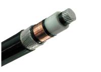 China Single Core Xlpe Armoured Cable , Al Conductor Armored Electrical Cable for sale