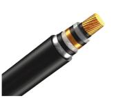 China Class 2 Armoured Electrical Cable Copper Conductor For Underground Reticulation for sale
