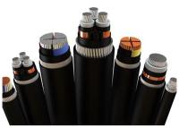 China Phase 1 Swa Armoured Electrical Cable Lv Underground Power Cable  0.6 / 1kv for sale