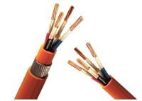 China CU / XLPE / PVC 0.6 / 1kV Flame Retardant Cable / Flame Resistant Cable for sale
