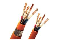 China CU / XLPE / PVC 0.6 / 1kV Flame Retardant Cable / Flame Resistant Cable for sale