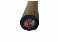 China Flexible Cores Rubber Sheathed Cable H05RN-F Light Model , Black for sale