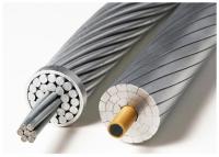 China Concentric Lay Stranded Bare Conductor High Voltage AAC AAAC ACSS/TW ACCC for sale