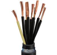 China Class 5 Armored Control Cables , Flexible Wire Cable WDZB-KYJYR22 OEM for sale