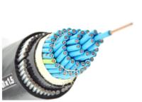 China PVC Insulation / PVC Sheath 450/750V Control Cable With Metal Screen Optional for sale