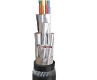 China 600/1000V Braided Shielded Guitar Circuit Wire XLPE PVC Insulation for sale
