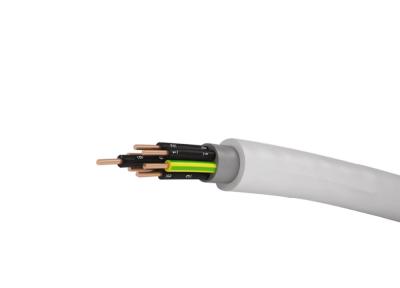 China PVC Sheath XLPE  Multicore Control Cable WIth CE / KEMA Certificate for sale