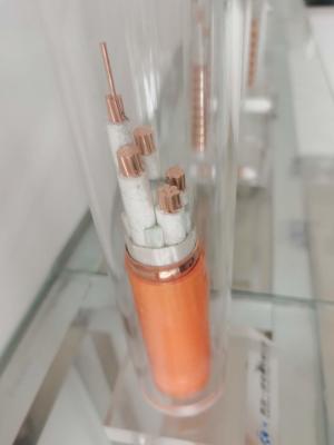 China 750V PVC Heavy Metal Sheathed Mineral Insulated Cable for sale