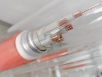 China Stranded Copper Core Halogen Free Mineral Insulated Cable for sale