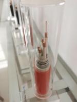 China Mineral Insulated Cable Featuring Mineral Insulation Material and IEC 60332-1 Fire Performance Suitable for Harsh Environments for sale