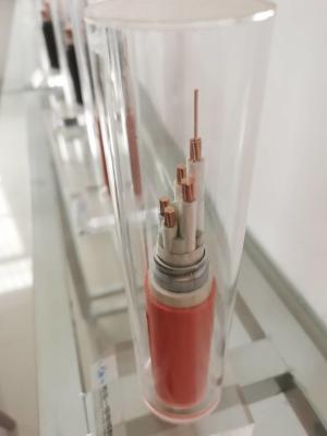 China Mineral Insulated Cable Featuring Mineral Insulation Material and IEC 60332-1 Fire Performance Suitable for Harsh Environments for sale