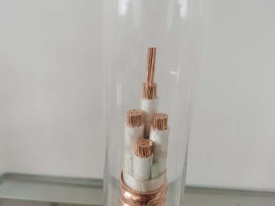 China Multicore Mineral Insulated Power Cable Developed for Plant Applications Ensuring Power Transmission and Fire Protection for sale