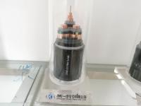 China Pvc Sheath Insulated Armored 1kv Xlpe Electrical Cable for sale