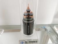 China No Chloride Corrosion Resistant XLPE Insulated Cable for sale
