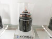 China Hotels Hospitals 90c 4 Core 50mm2 XLPE Insulated Cable for sale