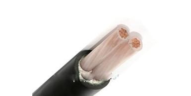 China XLPE Insulated Cable with PVC Sheath Material and Color Strip Core Mark for sale