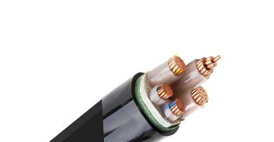 China 3 1 Core XLPE Insulated Electric Wire with Durable PVC Jacket for sale