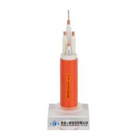 China HPLE Jacket Low Smoke Zero Halogen Cable Copper Wire Cable Sheathed for sale