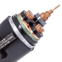 China Copper Armored MV XLPE Insulated Cable IEC 60502 Standdard for sale