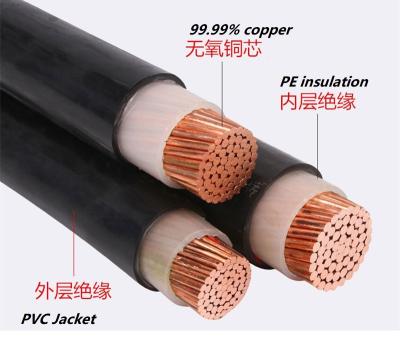 China XLPE Insulated Cable PVC Sheathed for Circular Conductor and Sturdy Construction for sale
