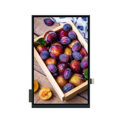 China 9 Inch TFT LCD Touch Screen 800x1280 MIPI Interface With ILI9806E/FT5x06 Driver IC for sale