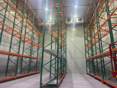China Powder Coated Adjustable Levels Warehouse Pallet Racking For Cold Storage Customized for sale