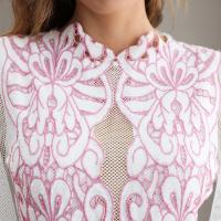 China Polyester Embroidered Lace Dresses Breathable Long Sleeve Mesh Lace Dress for sale