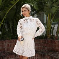 China Lace Tops Collection For Feminine Charm Chic White High Waisted Lace Tops With Stand Collar For Women for sale
