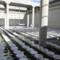 China Jet Aeration Fine Bubble Diffuser System with 1.5-3m³/h Flow Rate and 40% Energy Savings for Industrial Wastewater Treatment for sale
