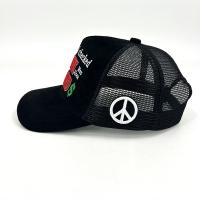 China Suede 3D Embroidery 5 Panel Trucker Cap Snapback Cap Breathable Cap Snapback for sale