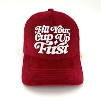 China Mesh Velvet Trucker Hat Puff Embroidered Sports Snapback Cap Cap Snapback for sale