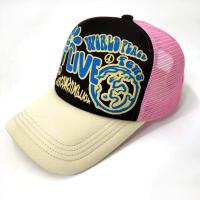 China Two Tone Mesh Foam Custom 3D Embroidery Trucker Hats Powder Puff Print Special Mixed Colors for sale