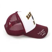 China Embroidery Mesh 5 Panel Trucker Cap Custom Printing Brim Back For Unisex for sale