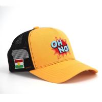 China 3D Embroidery Mesh Trucker Caps 100% Cotton Structured Customized for sale