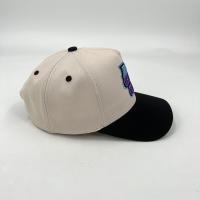 China Personalized Baseball Caps Custom 5 Panel Cotton With 3D Embroidery Snap Back for sale