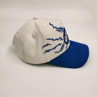 China Team Baseball Cap 5 panel Mid Profile Viewer In Suede Interior Stitch Cotton Snapback Silk Fabric Covers Embroidery for sale