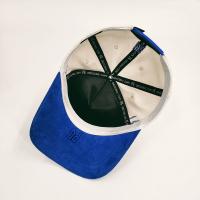 China Team Baseball Cap 5 panel Mid Profile Viewer In Suede Interior Stitch Cotton Snapback Silk Fabric Covers Embroidery for sale