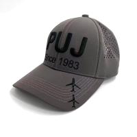 China 6 Panel Laser Cut Perforated Golf Dad Hat Waterproof 3D Embroidery Baseball Cap for sale