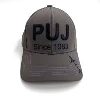 China 6 Panel Laser Cut Perforated Golf Dad Hat Waterproof 3D Embroidery Baseball Cap for sale