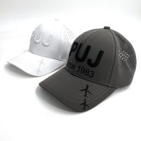 China 6 Panel Laser Cut Perforated Golf Dad Hat Waterproof 3D Embroidery Baseball Cap for sale