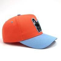 China Flat Brim Baseball Hat Two tone Customize Embroidered 5 panel Mid Profile 3D Patch Embroidered Custom Cotton Sport for sale