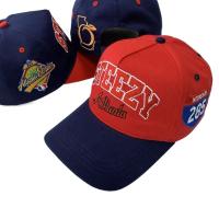 China Custom Baseball Cap Logo 3D Puff Embroidery 5 Panels Outdoor Sports Golf for sale