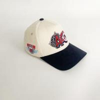 China Custom Embroidery Logo Baseball Caps Cotton Fabric 5 Panels With Suede Brim for sale