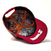 China Cartoon Themed Dragon Ball Hat Embroidered Iconic Anime Design for sale