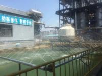 China Used Oil To Diesel Waste Engine Oil Burner Oil Distillation Plant With Easy Operation for sale