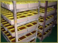 China Hot Melt Adhesive Blocks for Courier Bags - 1500±500 CPS Viscosity at 180℃, -20°C to 90℃ Temperature Range for sale