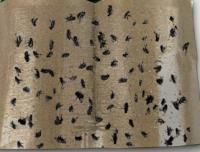 China Eco Friendly Hot Melt Adhesive Blocks for Fly Rodent Traps 1kg 2.5kg for sale